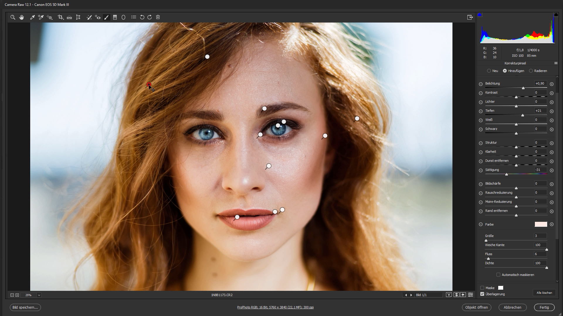 Hautretusche mit Camera Raw - die3Tage
